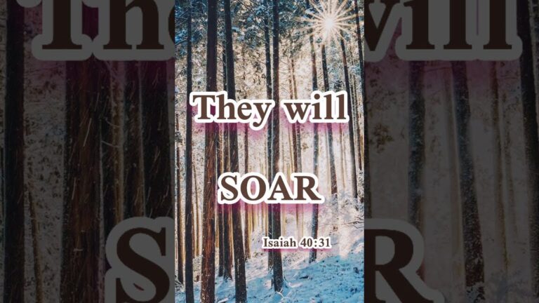 40 Bible Verses for New Beginnings: Inspirational Quotes for a Fresh ...