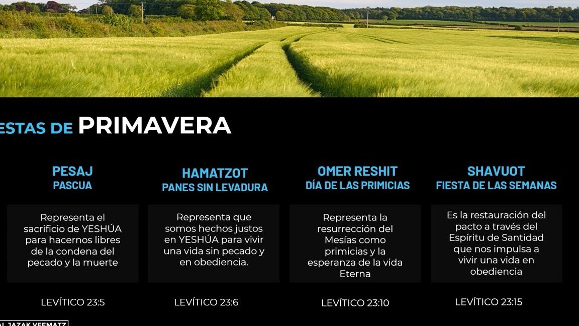 Descubre todo sobre las primicias en la Biblia: significado ...