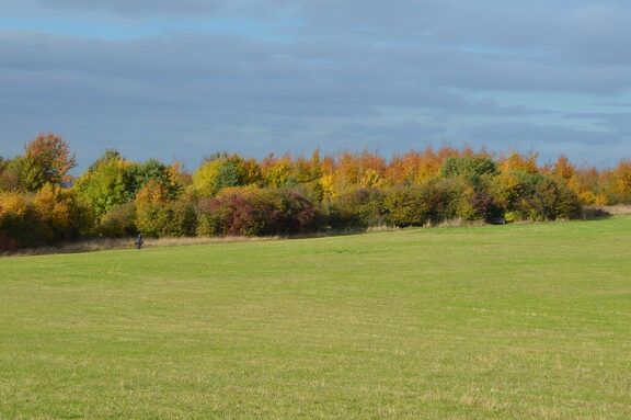 Descubre el misterio de Gog y Magog en la Biblia: ¡Lo que nunca te ...
